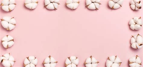 파스텔 핑크 배경에 면화 꽃의 프레임 플랫 레이 상단보기 복사 공간 섬세한 면화 꽃이있는 꽃 구성 코튼 배경 0명에 대한 스톡 사진 및 기타 이미지 Istock