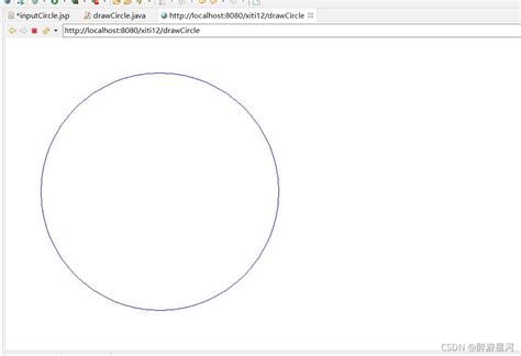 Jsp，servlet类画圆的实现，题目如下：编写inputcirclejsp页面提供form表单 Csdn博客