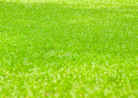 Liquid Lawn Fertilizers Lawn Rules Australia
