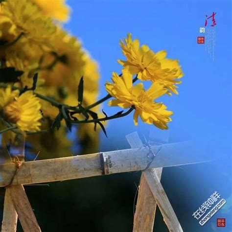 心若美好世界處處皆美好 每日頭條