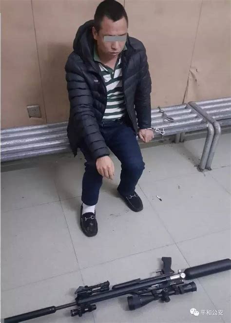 千元买气枪打鸟 安厚一男子涉嫌非法持枪被查中国青年网
