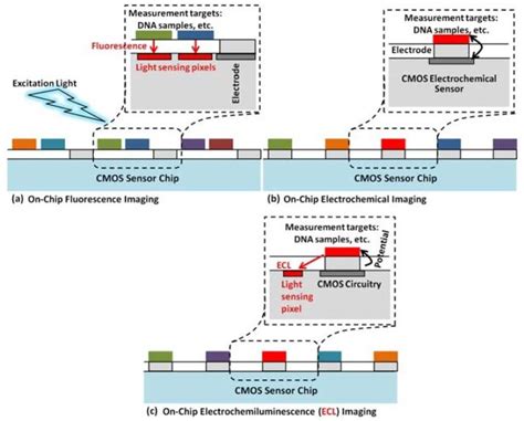 The Concept Of On Chip Biomolecular Detection Using An Optical A And Download Scientific