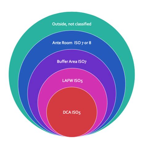 Final Exam Flashcards Quizlet