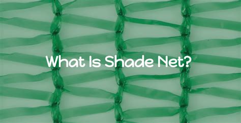 What Is Shade Net All You Need To Know Is Here