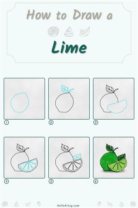 How To Draw A Lime Artofit