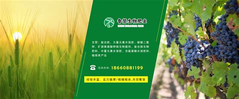 复合肥 山东鲁慧生物肥业有限公司【网站】