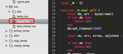 Openresty Nginx Lua