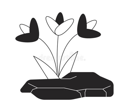 Flowers Growing Out Rock Black And White 2d Line Cartoon Object Stock Vector Illustration Of