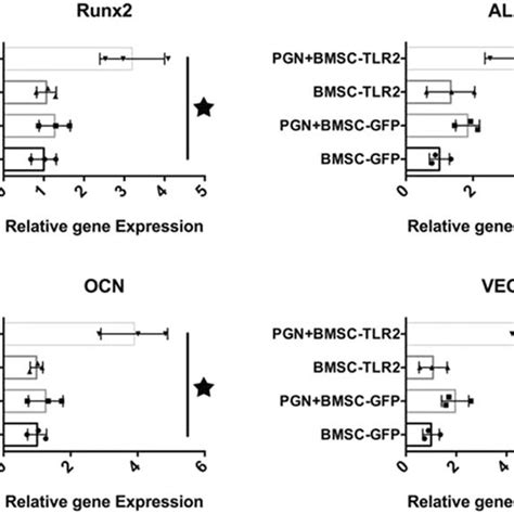 Real Time Rt Pcr Analysis The Expression Of Runx2 Alp Ocn And Vegf
