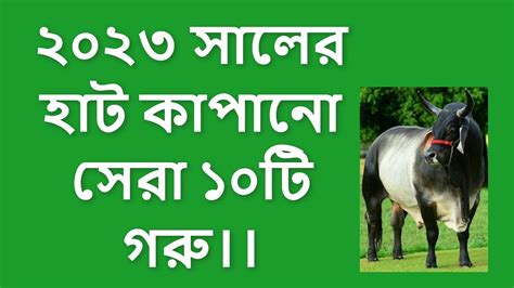 ২০২৩ সালের হাট কাপানো সেরা ১০টি গরু।সেরা ১০ ‍টি কোরবানির গরু। Youtube