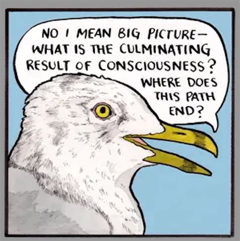 Llava Next Tackling Multi Image Video And 3d In Large Multimodal Models