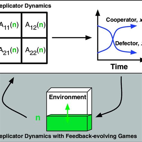 Schematic Of Replicator Dynamics In Feedback Evolving Games Top In