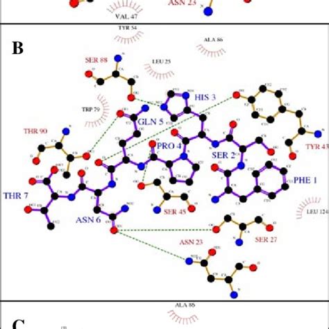 Ligplot Analysis 25 Showing The Hydrogen Bonding And Hydrophobic