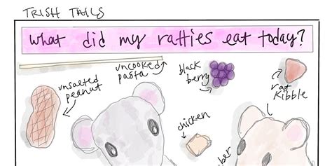 rat fud 10 06 22 by dishkitty trish tails