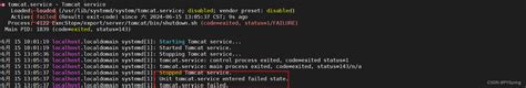 Linux Tomcat服务配置到系统服务linux Tomcat做成服务 Csdn博客
