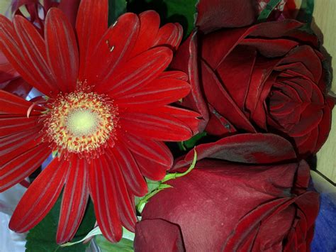 Аида 8 ми Март Меѓународниот ден на жената