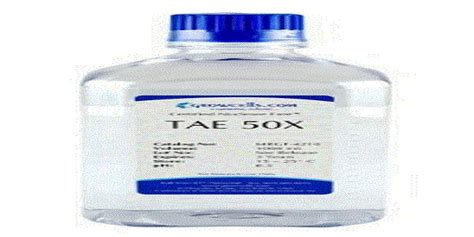 How To Prepare X TAE Buffer Tris Acetate EDTA Buffer