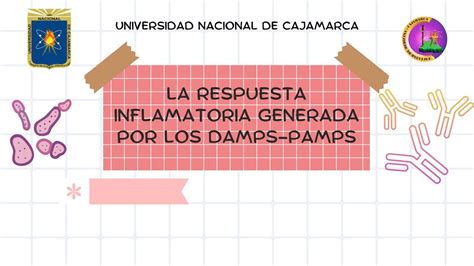 Resúmenes De Pamp Y Damp Descarga Apuntes De Pamp Y Damp