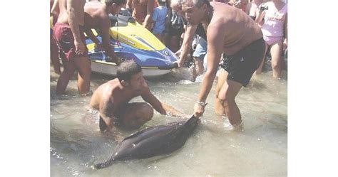 Спасители на плажа