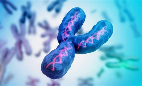 Y Chromosome Is Vanishing Humans Need To Evolve New Sex Gene