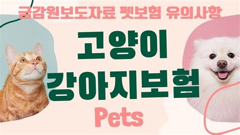슬개골탈구등 위한 고양이보험 강아지보험 펫보험 유의사항 Youtube