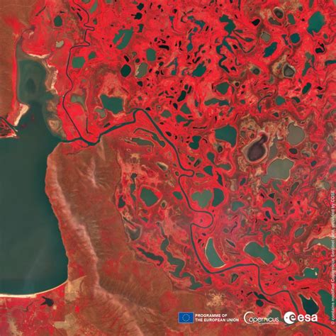 Sentinel2 Cdse Euspace Copernicus Copernicuseu Eodata Sentinel Copernicus Data Space