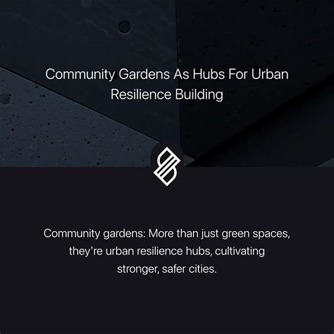 Community Gardens As Hubs For Urban Resilience Building → Scenario