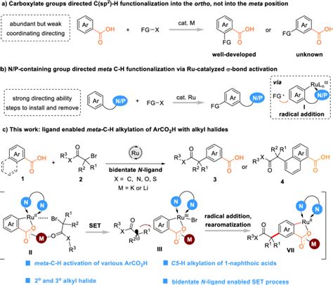 配体钌催化（杂）芳香族羧酸的间位c−h烷基化 Nature Communications X Mol