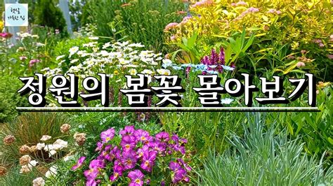 봄꽃 구경하기정원의 봄꽃종류 몰아보기정원가꾸기야생화 Youtube