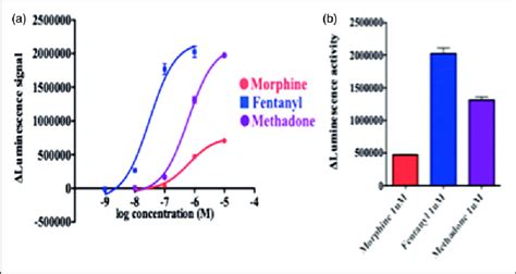 Measurements Of B Arrestin 2 Recruitment By The Pathhunter Enzyme