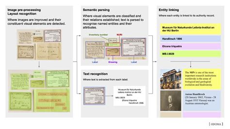 Odoma On Linkedin 🌿 Transforming Natural History Our Journey With The