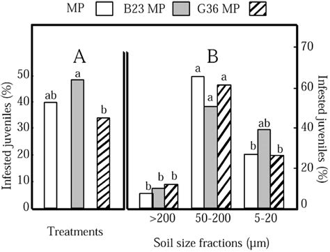 Effects Of The Fluorescent Pseudomonas Strains On The Proportion Of Download Scientific Diagram