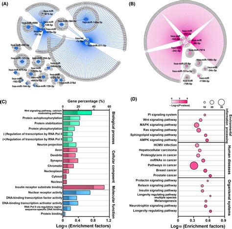 Target Prediction For The Differentially Expressed Mirnas And Function Download Scientific