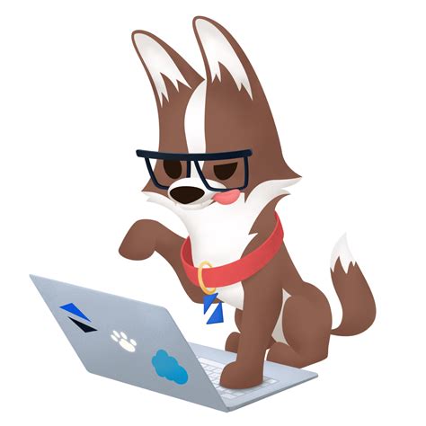 Salesforce Courses Noltic