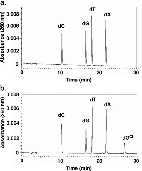 Hplc Elution Profiles Of Enzymatic Digests Of Unmodified And