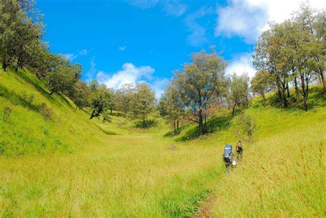 9 Potret Sabana Gunung Lawu Indahnya Bikin Terpukau