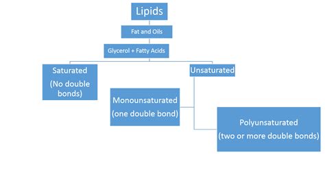 Macro Nutrients Lipids Hmhub