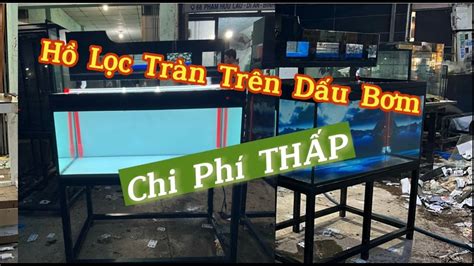 Hồ Cá Lọc Tràn Trên Dấu Bơm Chi Phí Thấp Youtube