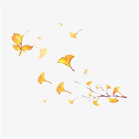 银杏叶 快图网 免费PNG图片免抠PNG高清背景素材库kuaipng