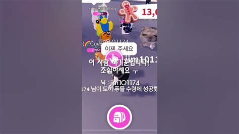 사기꾼 입양하세요 조심하세요 Youtube