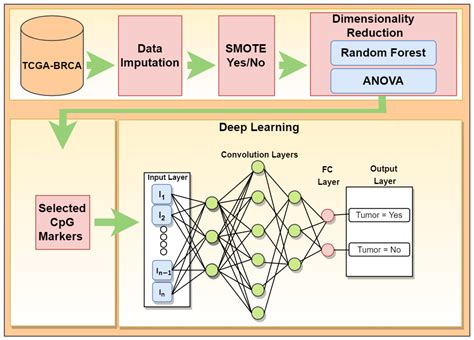 Genes Free Full Text Application Of Feature Selection And Deep Learning For Cancer