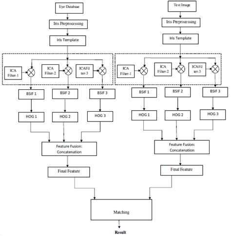 Proposed Iris Recognition Model Download Scientific Diagram