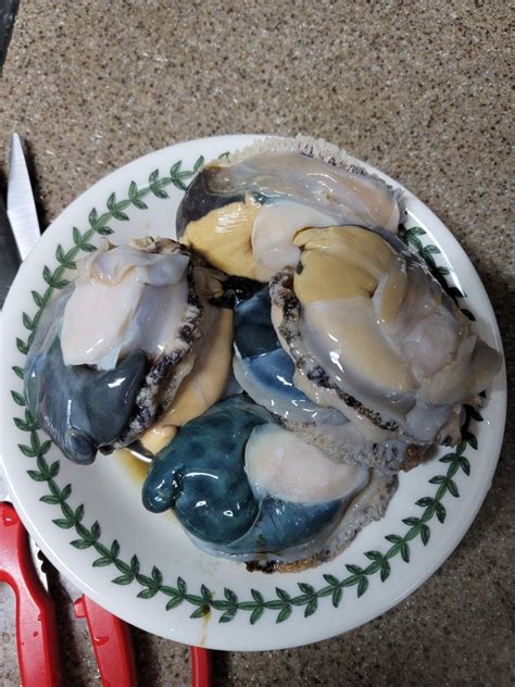 전복 내장색깔에 따라 암수가 다른가요 지식in 전복 내장색깔에 따라 암수가 다른가요 지식in