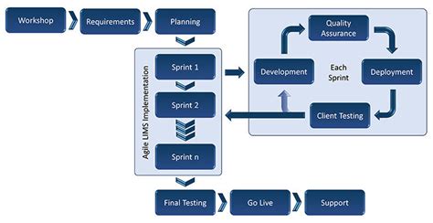 LIMS Implementation Autoscribe Informatics