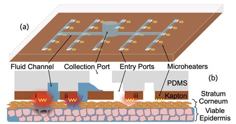 Needle Free Sampling Of Interstitial Fluid For Health Monitoring
