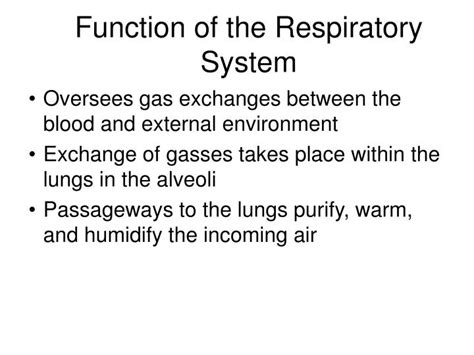 Ppt Function Of The Respiratory System Powerpoint Presentation Free
