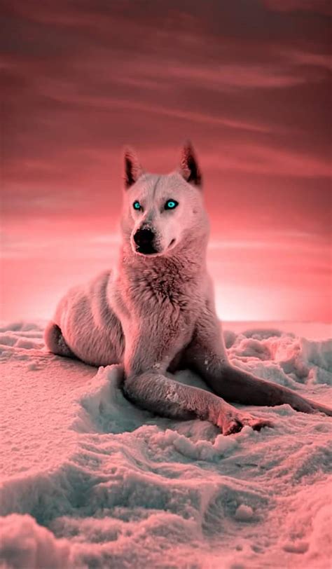 Дэлгэцний зураг Дэлгэцний зураг Added A New Photo