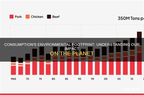 Consumptions Environmental Footprint Understanding Our Impact On The