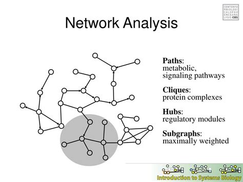 PPT Biological Network Analysis PowerPoint Presentation Free Download ID 4307381
