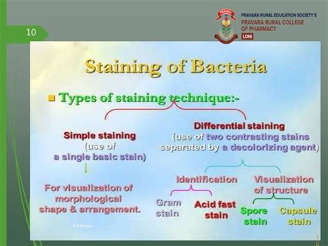 Identification Of Bacteria By Using Different Staining Techniques Like Simple Staining Gramss
